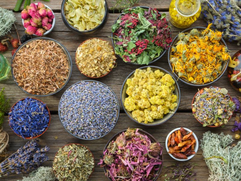 Un programme detox ayurvédique pour retrouver équilibre et énergie – Natésis