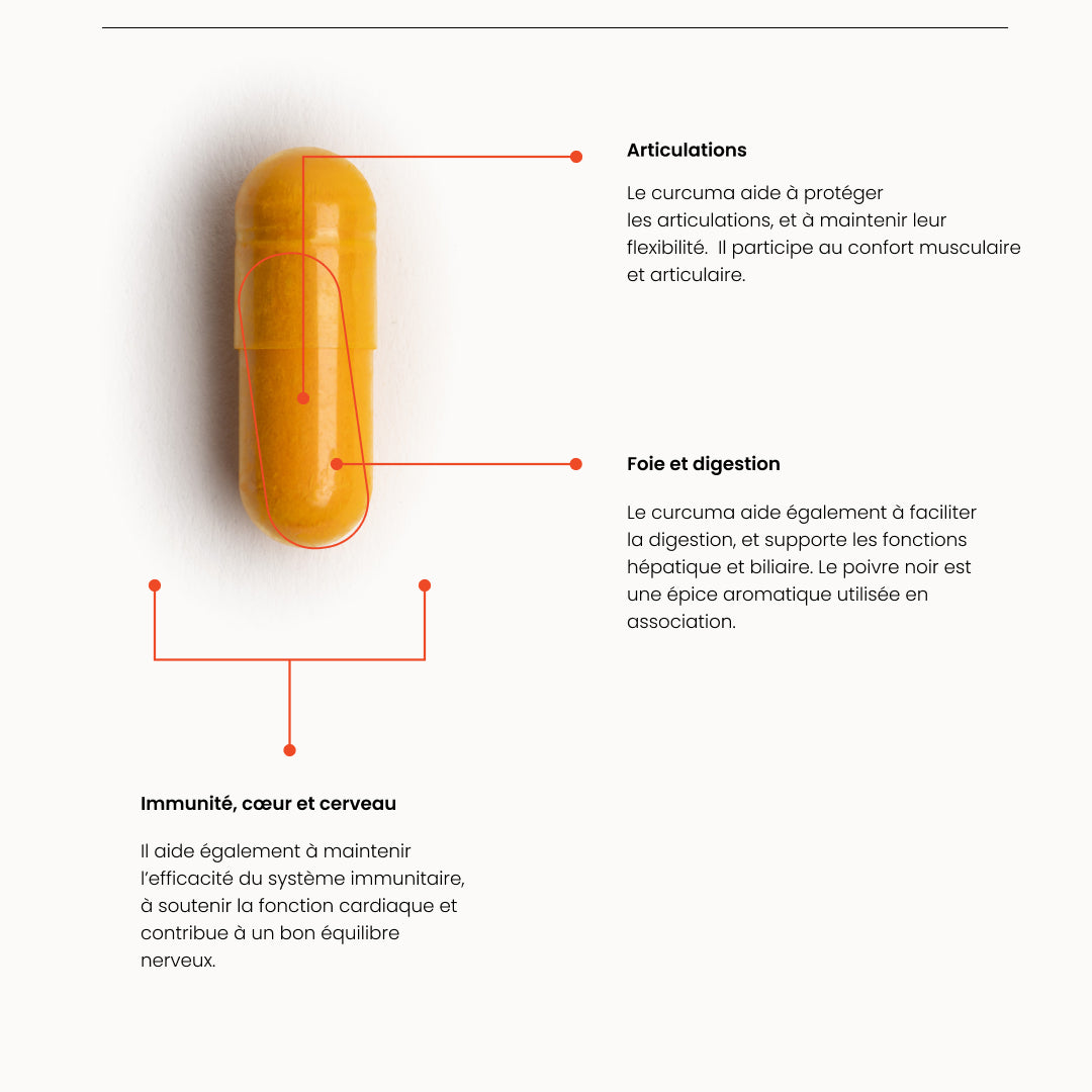Curcuma Bio 95 - Complément Alimentaire Naturel - Natésis
